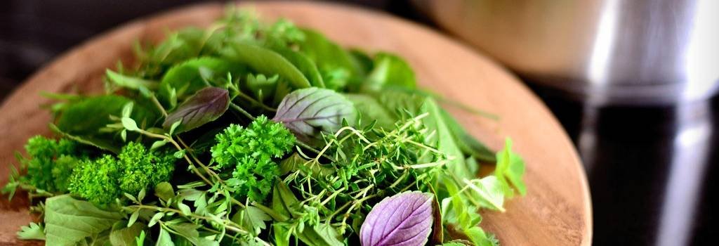 10 Conversation Starters Questions About Vegan Cooking | The Talk Starter